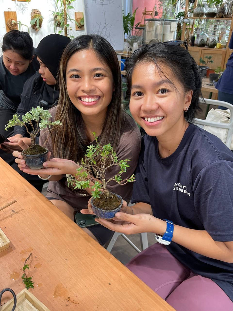 Chose your own date - Mini Bonsai Appreciation Workshop – Crafted Identity